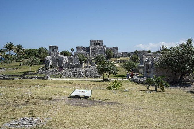 Tulum & Jungle Adventure Private Tour - Authentic Experiences from Travelers