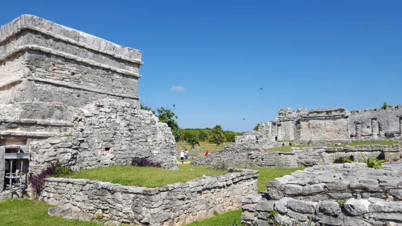 Tulum: Mayan Ruins & Sian Kaan Tour with Boat Ride and Lunch - Authentic Experiences & Highlighted Details from Reviews