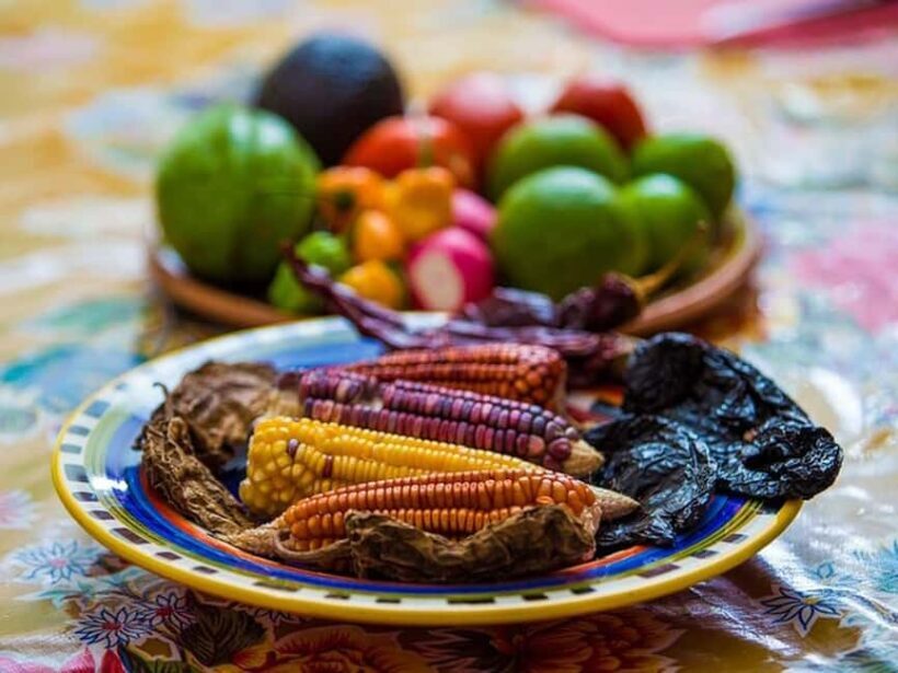 Tulum: Mexican Cooking Class in Local Home - An Authentic Mexican Cooking Experience in Tulum