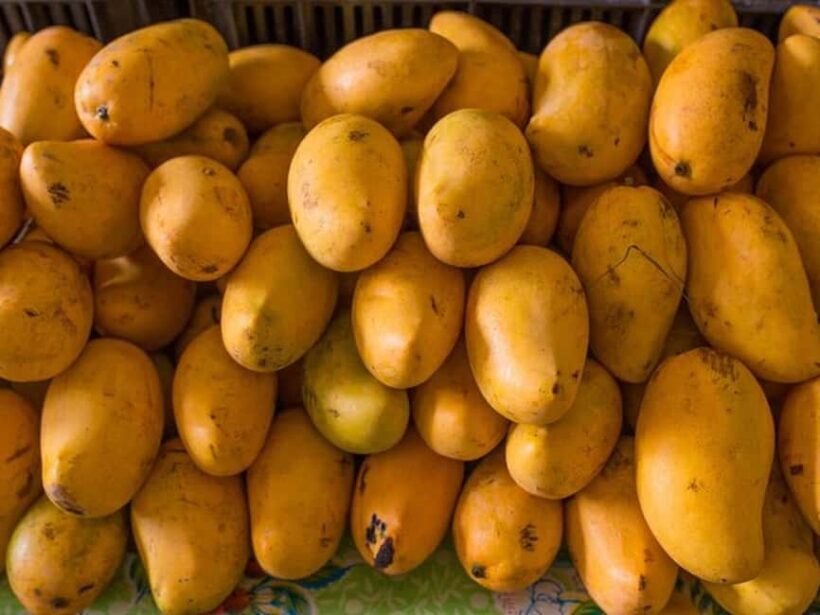 Tulum: Mexican Cooking Class in Local Home - Value and Practicalities