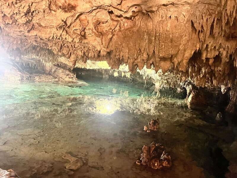 Tulum Mexico; Cave snorkeling and cliff jumping Tour - Final Thoughts: Who Will Love This Tour?