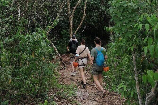 Tulum Monkey Sanctuary Tour Punta Laguna - An In-Depth Look at the Tour