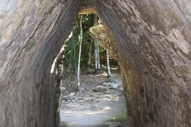 Tulum Multun-Ha Cenote Coba and Paradise Beach Private Tour - Why This Tour Offers Great Value