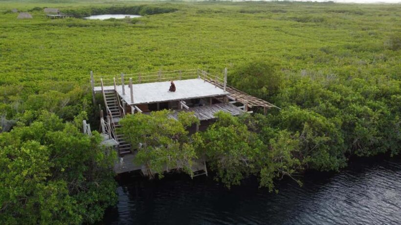 Tulum: Pargo Restaurant Cenote Dining Experience - An Authentic Meal with a View: An In-Depth Look
