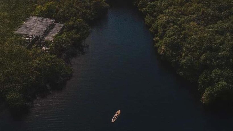 Tulum: Pargo Restaurant Cenote Dining Experience - Who Is This Experience Best For?