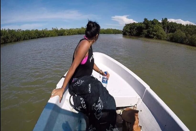 Tulum: Pink Lake, Rio Lagartos, Crocodile Flamingo Adventure - The Sum Up