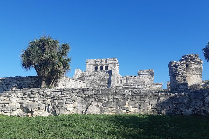 Tulum Private Boat Tour & Turtle Snorkeling Experience - The Value of This Tour