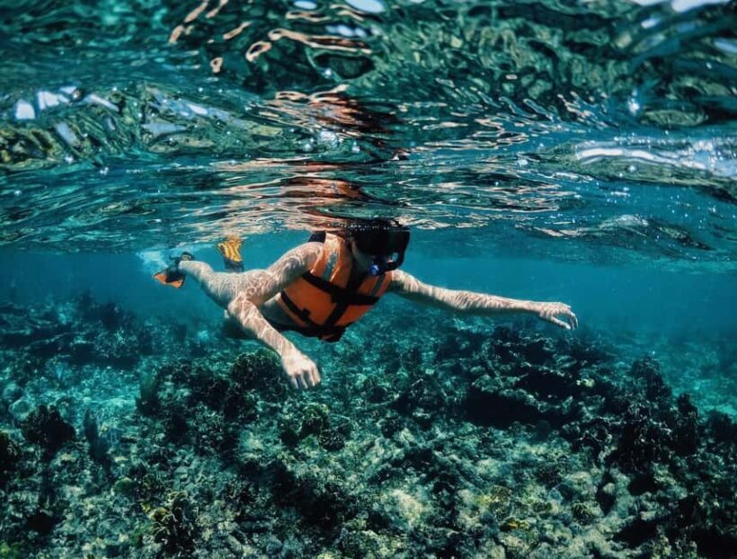 Tulum: Private Snorkel and Sailing Experience - Post-Tour Relaxation and Jaguar Park
