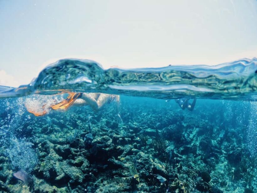 Tulum: Private Snorkel and Sailing Experience - What’s Not Included and What to Bring