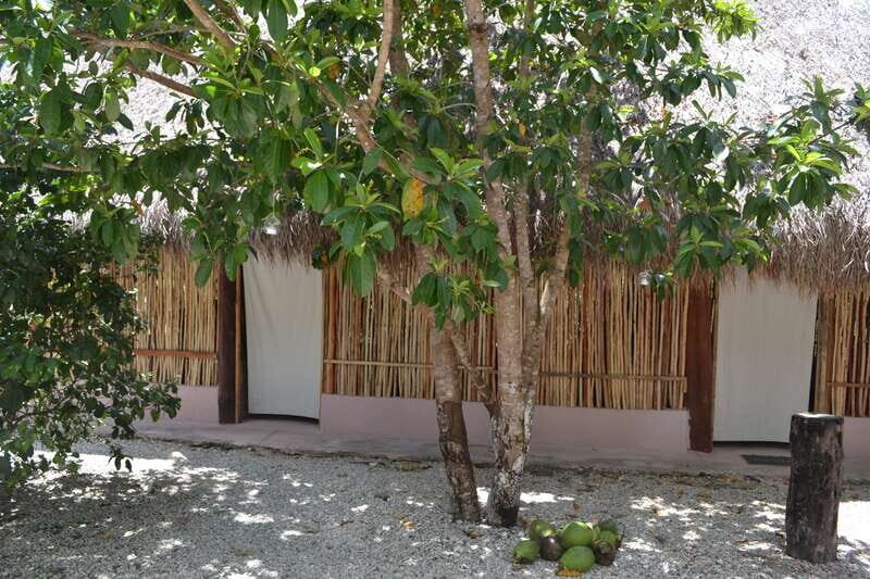 Tulum: Raw Honey & Chocolate Tour with Vegan Lunch & Cenote - The Vegan Lunch and Natural Remedies