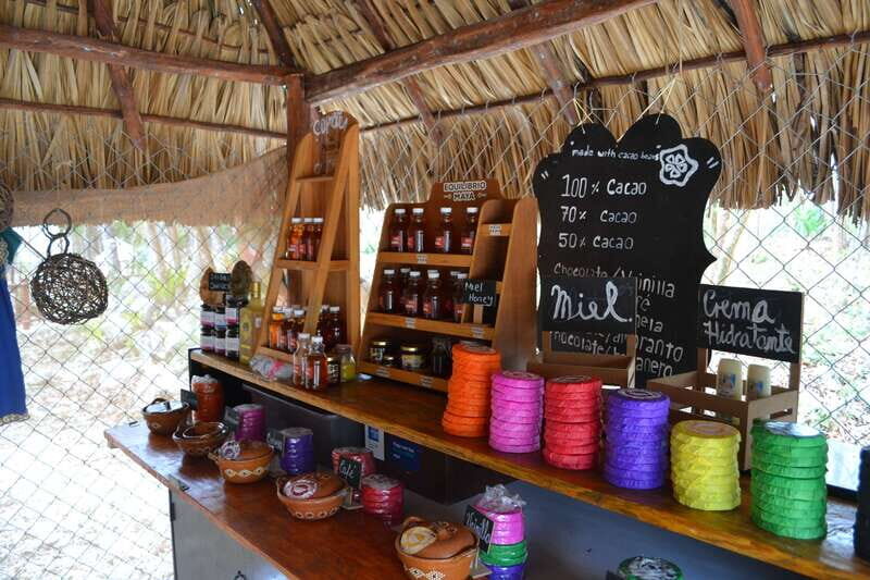 Tulum: Raw Honey & Chocolate Tour with Vegan Lunch & Cenote - Practical Tips for Participants