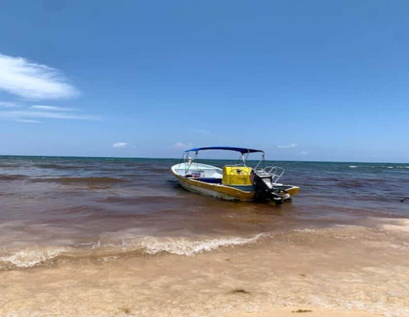 Tulum: Reef Snorkel Tour - In-Depth Itinerary Breakdown
