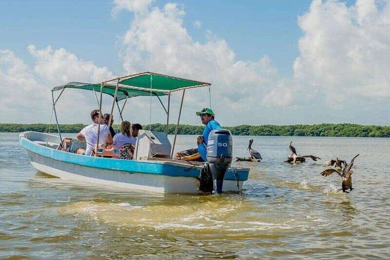 Tulum: Rio Lagartos Biosphere & Coloradas Pink Lake! Guided - Key Points