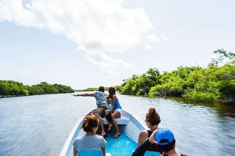 Tulum: Rio Lagartos Biosphere & Coloradas Pink Lake! Guided - Final Thoughts: Is it Worth It?