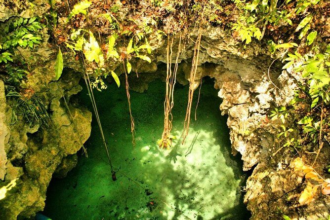 Tulum Ruins & Cenote guided private tour from Tulum and Riviera Maya. - Final Thoughts