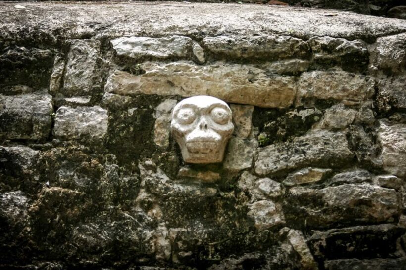Tulum Ruins Exploration, Gran Cenote Swim & Tacos! - Swimming and Snorkeling at Gran Cenote