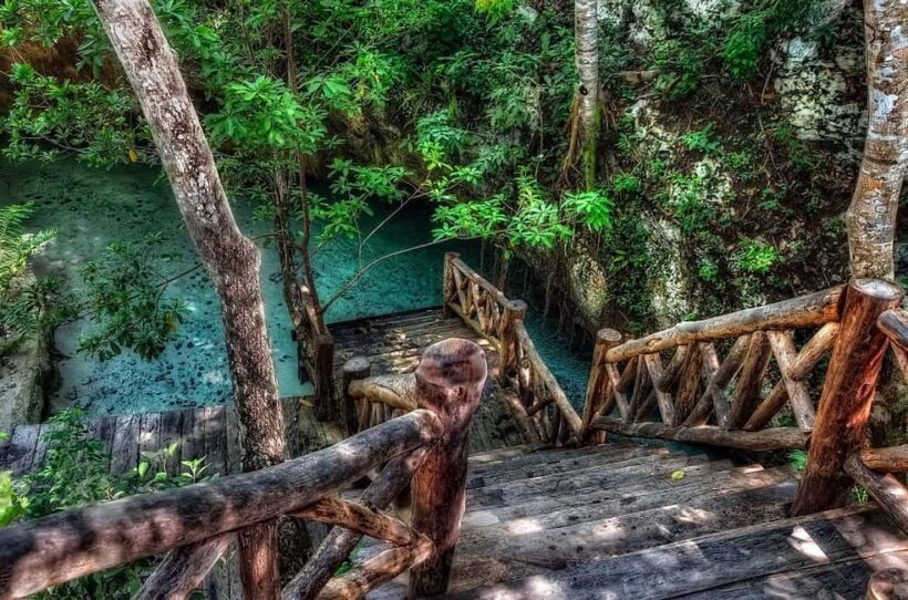 Tulum Ruins Exploration, Gran Cenote Swim & Tacos! - Tasting Authentic Tacos at Tacos Honorio