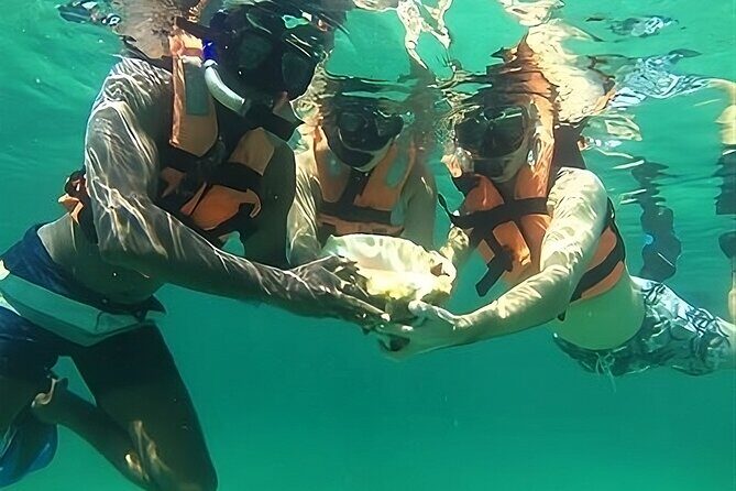 Tulum: Ruins, Reef & Cenote Small Group Day Trip - Final Thoughts: Is It Worth It?