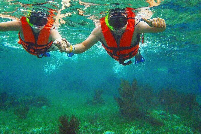 Tulum Ruins Snorkel with Sea Turtle and Cenotes Private Tour - Key Points