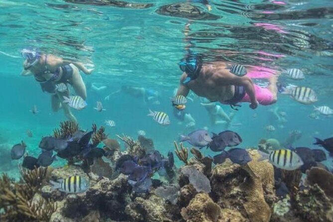 Tulum Ruins Snorkel with Sea Turtle and Cenotes Private Tour - Practical Details: Transportation, Timing, and Comfort