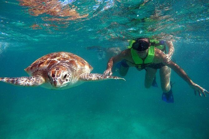 Tulum ruins swim with turtles in Akumal and Cenote - Exploring the Itinerary: What to Expect