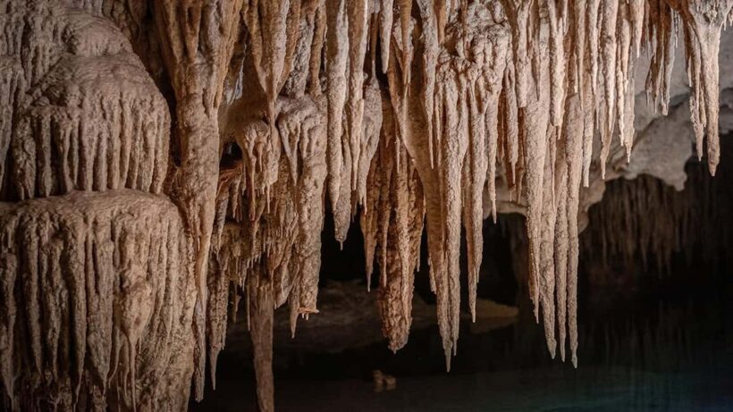 Tulum: Sacred River and Fire Ritual in a Mystical Underground River - The Return and Refreshments