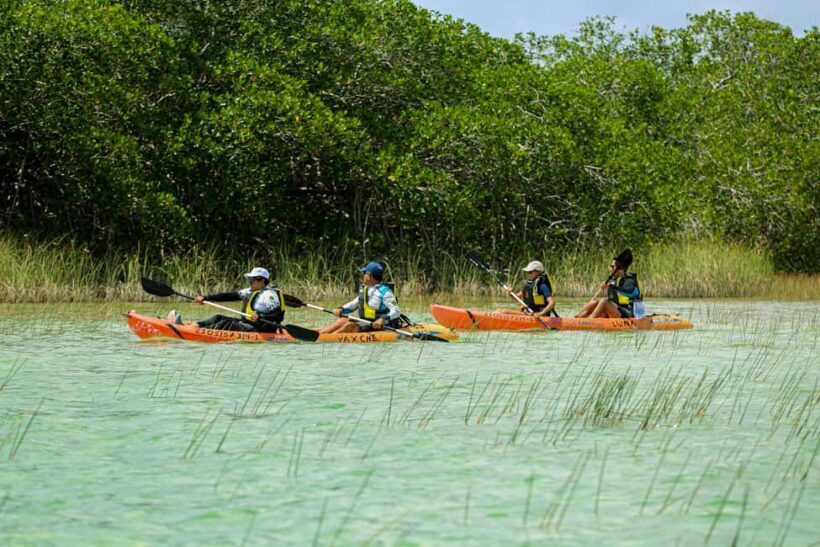 Tulum: Sian Ka'an Biosphere Reserve Kayak Tour - What Makes the Experience Stand Out?