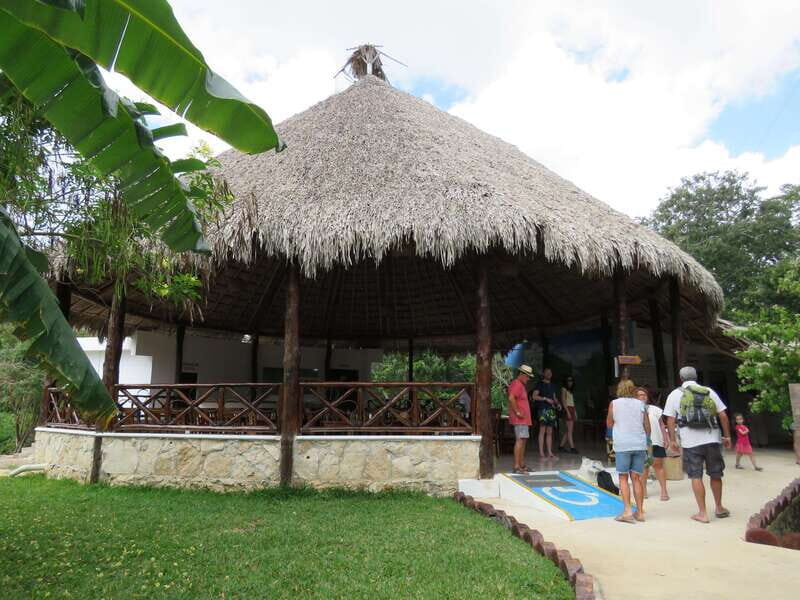 Tulum: Sian Ka'an Biosphere Reserve Kayak Tour - Considerations and Preparation