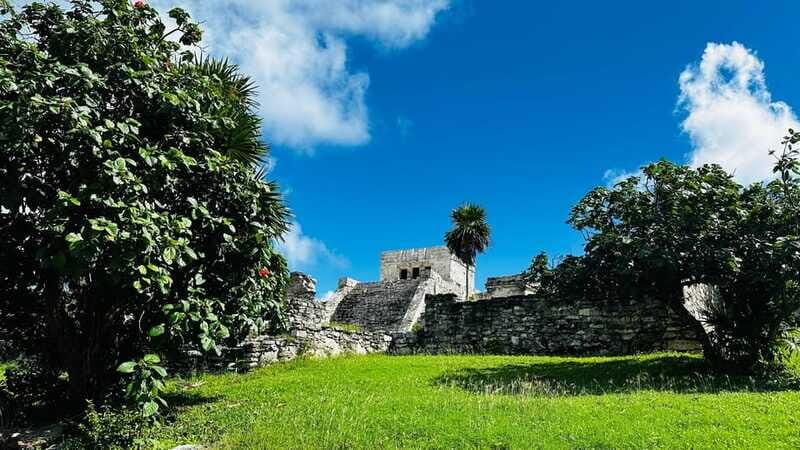 Tulum, Snorkeling & Cenote Adventure - Who Will Enjoy This Tour?