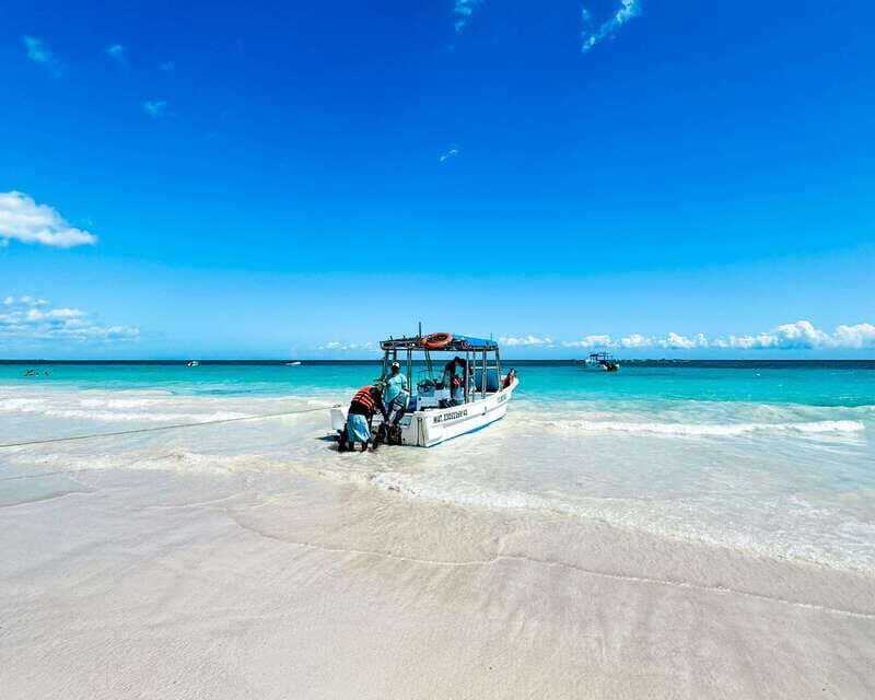 Tulum: Sport Fishing Experience with Ceviche - The Sum Up