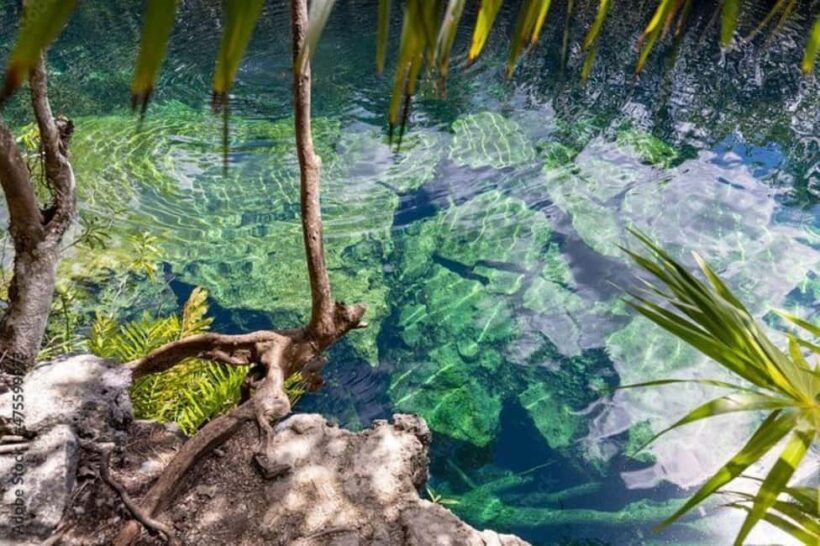 Tulum: Tour 4 Cenotes Casa Tortuga - Key Points