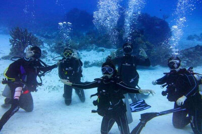 Tulum: Try Scuba Diving Adventure | Cenote + Reef in Tulum - The Practical Details