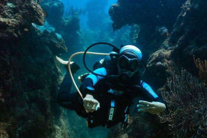 Tulum: Try Scuba Diving Adventure | Cenote + Reef in Tulum - Final Thoughts