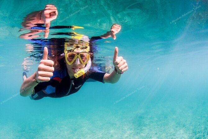 Tulum VIP Private Tour with Sea Turtles & Cenote  Award-Winning - Who Should Consider This Tour?