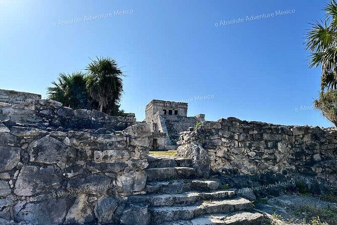 Tulum VIP Private Tour with Sea Turtles & Cenote  Award-Winning - FAQ