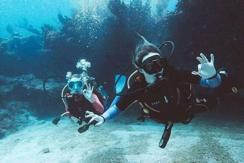 Tulum: Wonders of the Underwater World Discover Scuba Diving - Who Will Love This Tour?