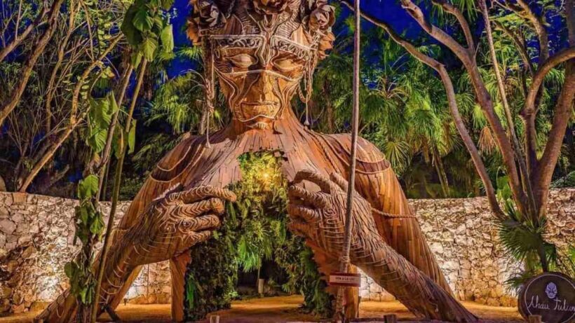 Tulum Xpress: Parque del Jaguar - Key Points