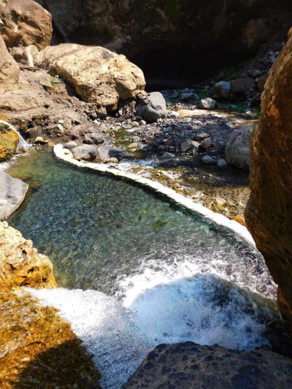 Tumpak Sewu: 1 Day Private Trip from Malang or Surabaya - The Guide and Transportation