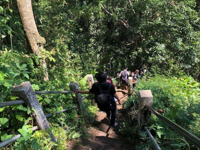 Tumpaksewu Day Tour with Guided Option - The Experience for Different Types of Travelers