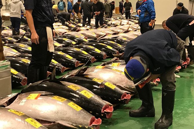 Tuna Auction and Market Tour at Activity Maison Kissako - Inclusions and Amenities