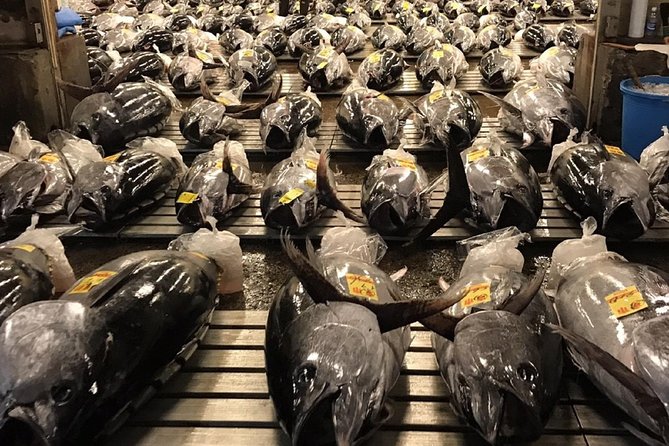 Tuna Auction and Market Tour at Activity Maison Kissako - Accessibility and Participation