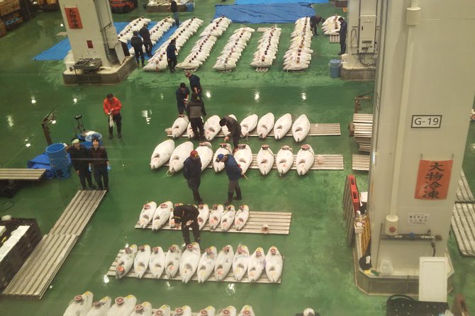 Tuna Auction at Toyosu Market With Qualified Guide and Early Morning Tour of Tsukiji Outer Market - Additional Tour Details and Recommendations