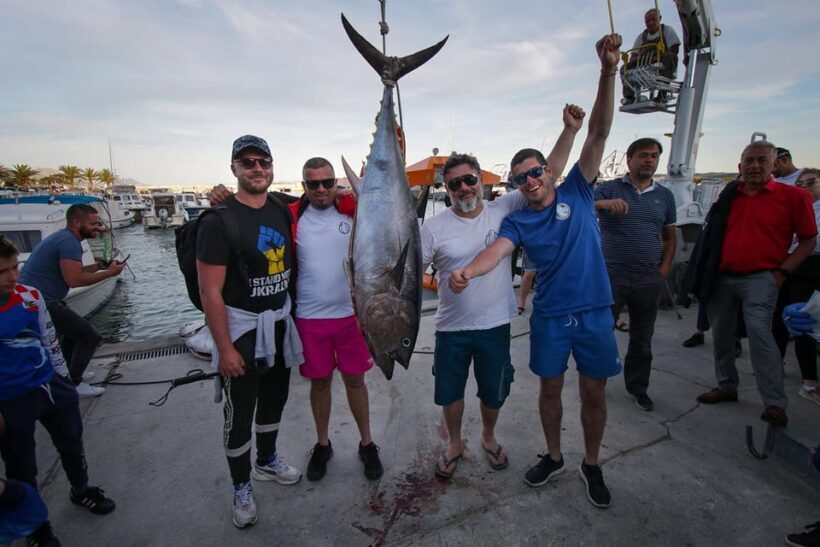 Tuna Fishing in Dubrovnik - Final Thoughts: Why Choose This Experience?