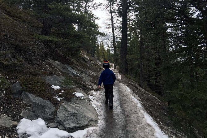 Tunnel Mountain Trail: a Smartphone Audio Nature Tour - The Sum Up
