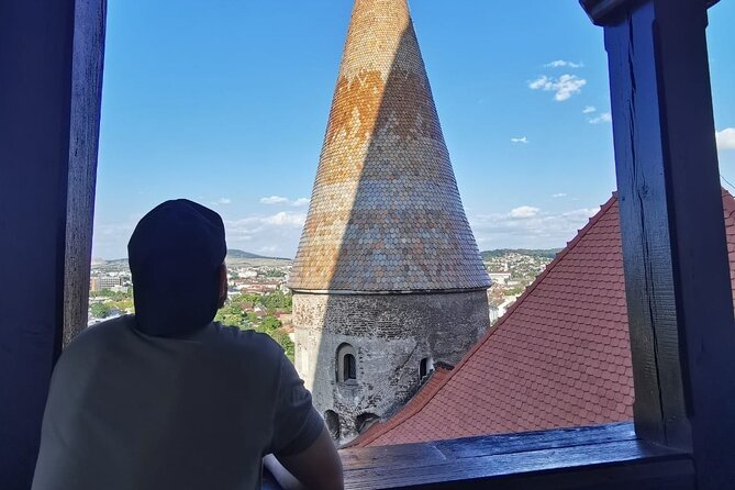 Turda Salt Mine, Corvin Castle, and Alba Fortress From Cluj - Discovering Corvin Castle