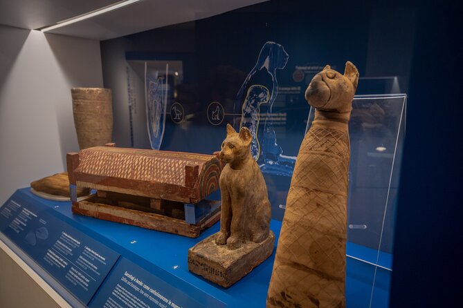 Turin: Egyptian Museum Monolingual Skip-The-Line Guided Mystery Tour,Small Group - Positive Customer Feedback and Testimonials