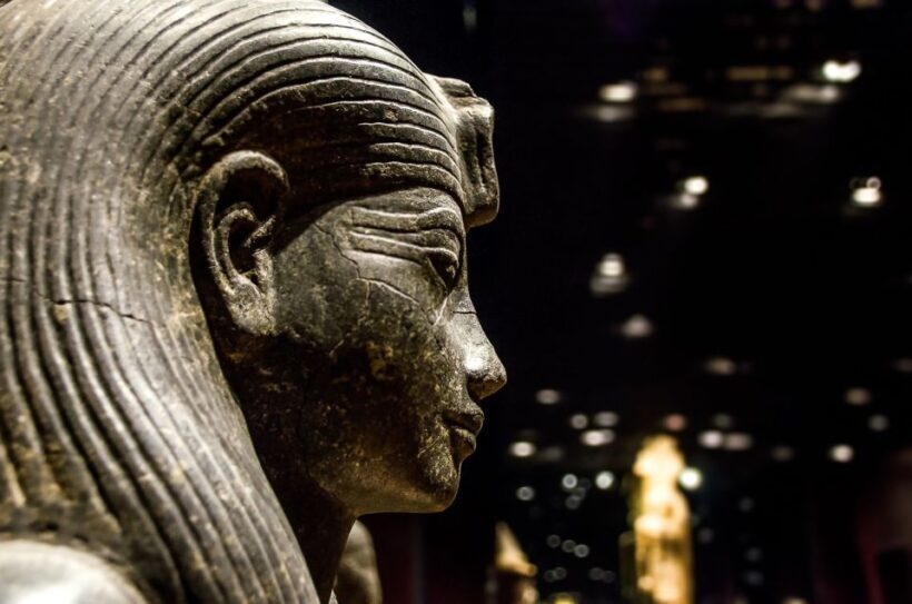 Turin: Egyptian Museum Skip-the-Line Private Guided Tour - What to Expect from the Tour