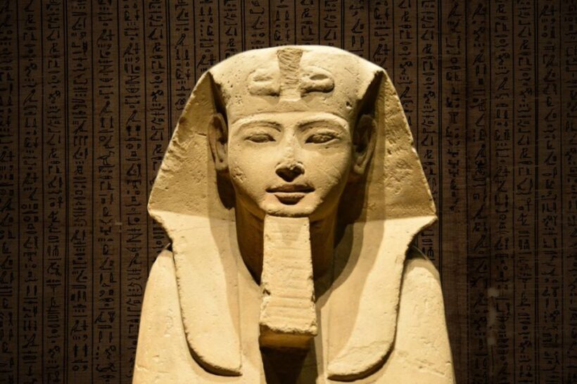 Turin: Egyptian Museum Small Group Skip-the-Line Guided Tour - Key Points