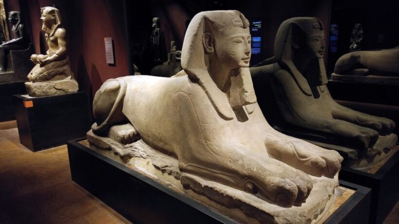 Turin: Guided Egyptian Museum Tour - The Guides: The Heart of the Experience