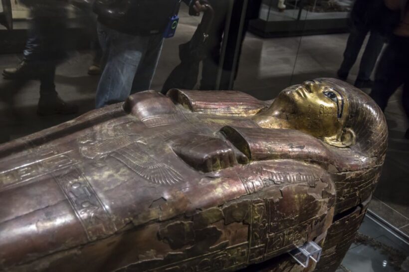 Turin: Guided Egyptian Museum Tour - The Visitor Experience